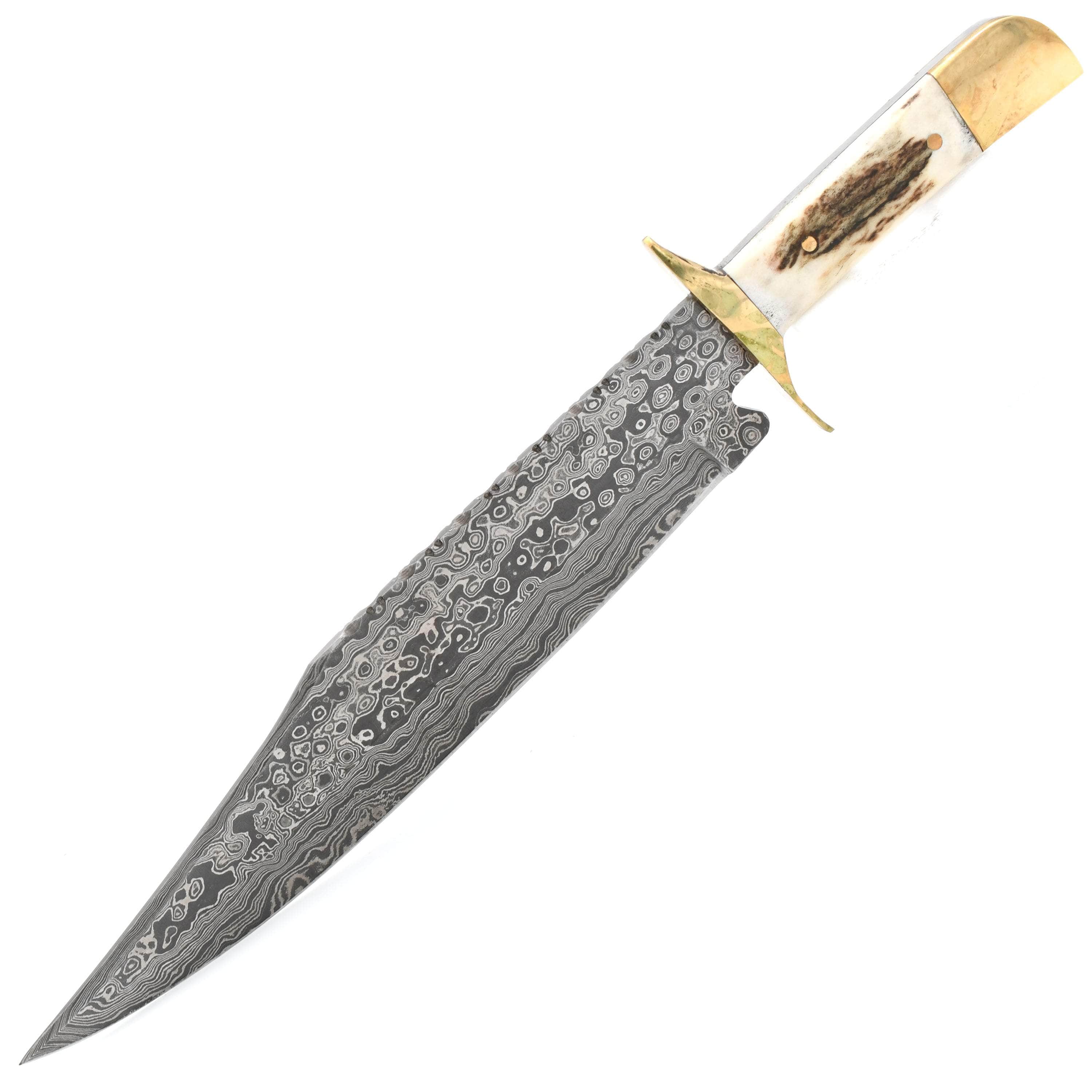 White Deer Damascus Bowie Hunting Knife, 11" Blade, Horn Handle, Leath